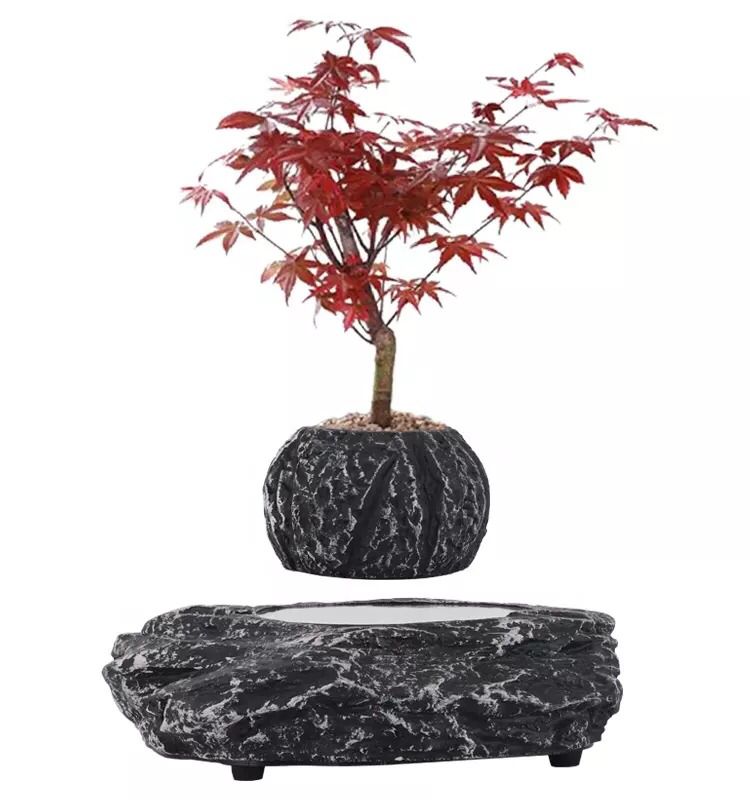 Order Levitating Plant Pot - The Leaf Tree Pot Now! | Jomla.ae
