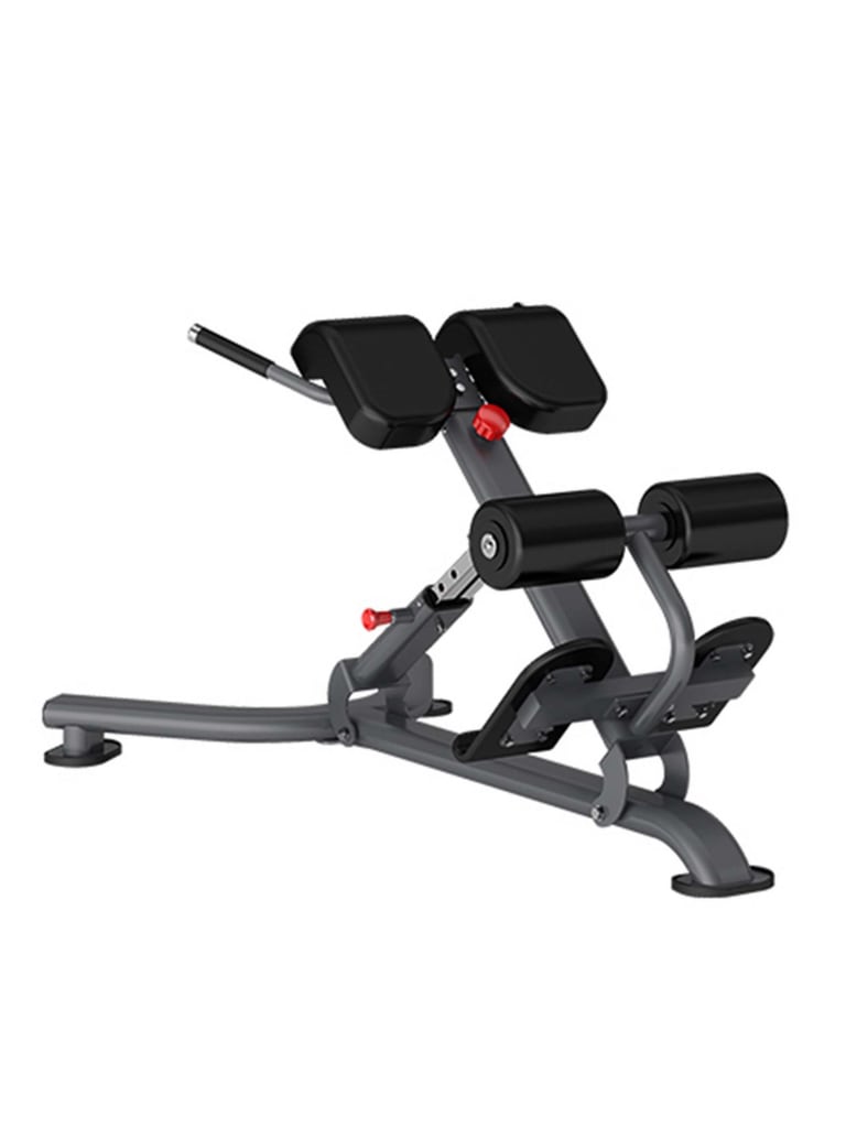 Order Insight Fitness DR010B Back Extension Now! | Jomla.ae