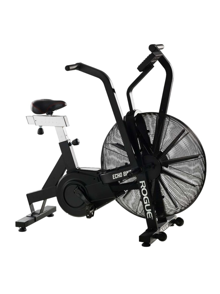 Order Rogue Fitness Echo Bike V3.0 Now! | Jomla.ae