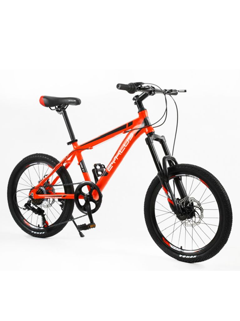 Order Zyklus Neon 07 20inch Bike Color Red/Black Now! | Jomla.ae