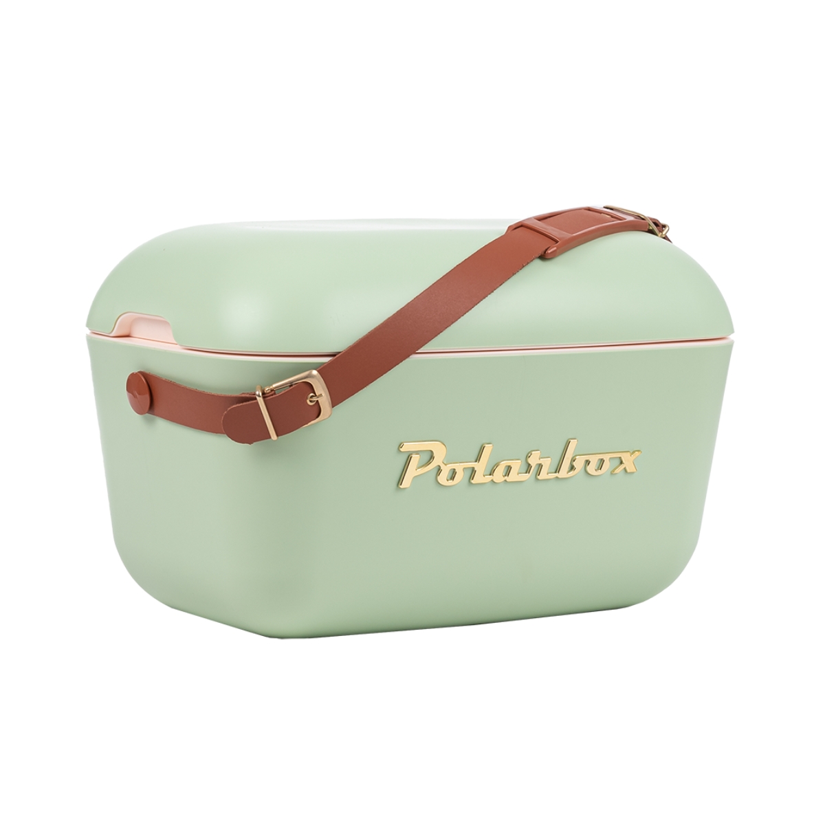 Order Polarbox 12 Liters Classic Cooler Box Olive - Green Olive Green ...