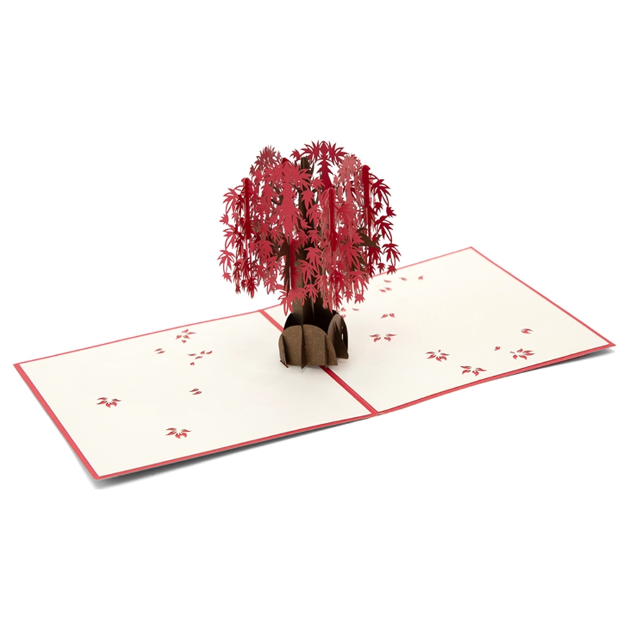 Abra Cards - Maple Tree | Jomla.ae