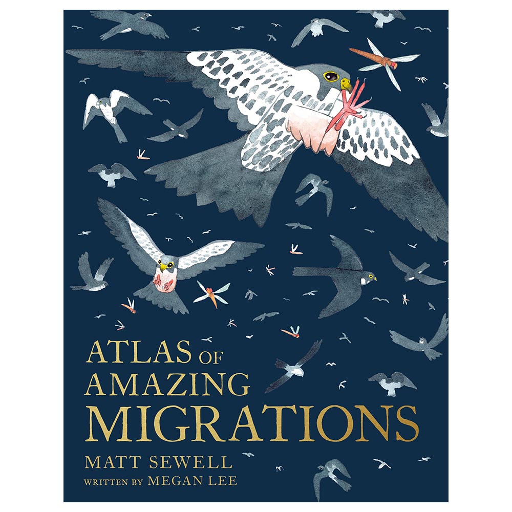 Order Atlas Of Amazing Migration Now! | Jomla.ae