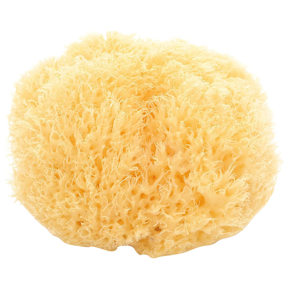 Babu - Honeycomb Sea Baby Sponge - 10cm - Yellow | Jomla.ae