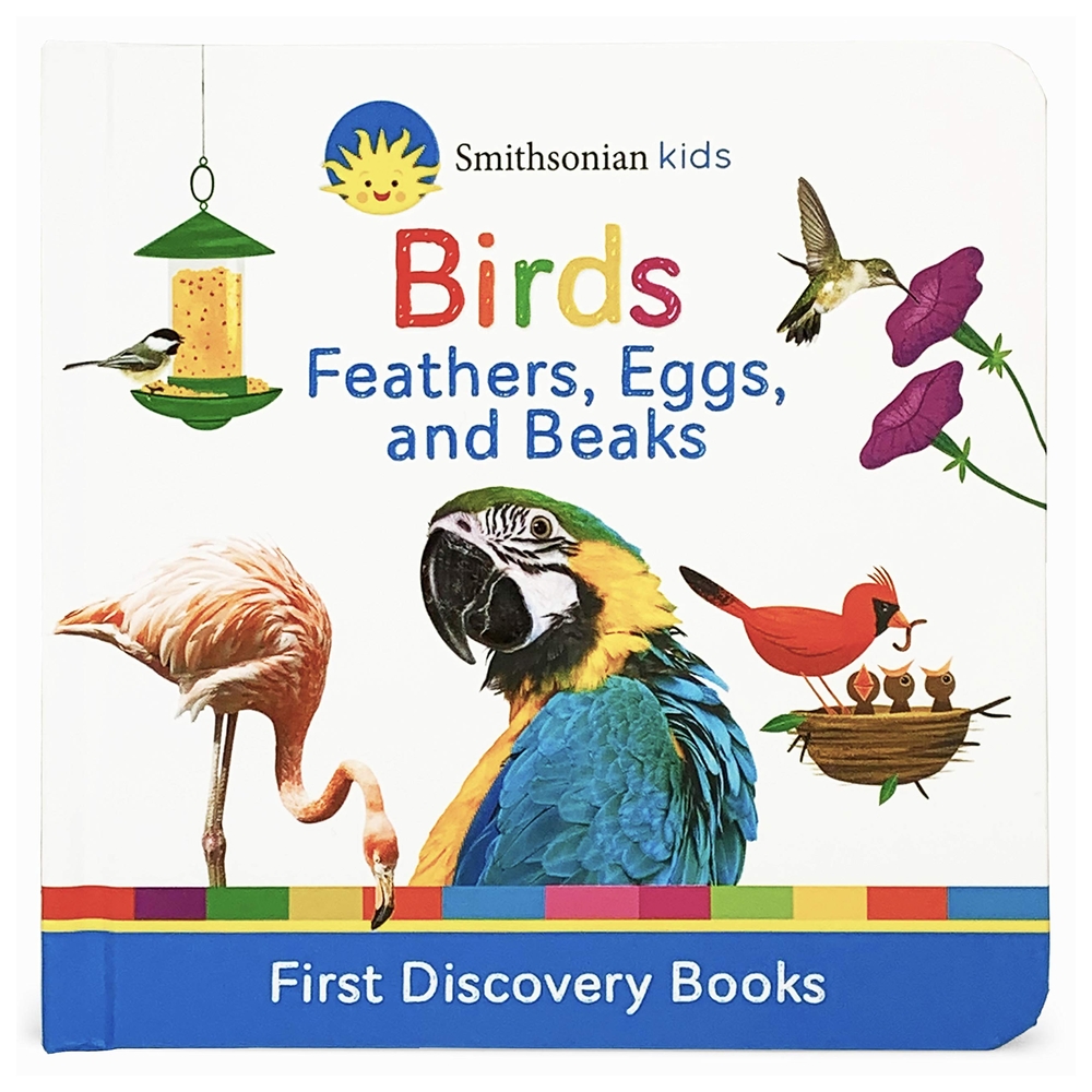 Birds: Feathers, Eggs, And Beaks | Jomla.ae
