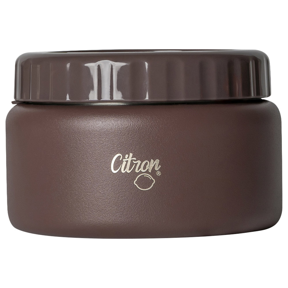 Citron - 2023 Stainless Steel Food Jar - 250Ml - Plum | Jomla.ae