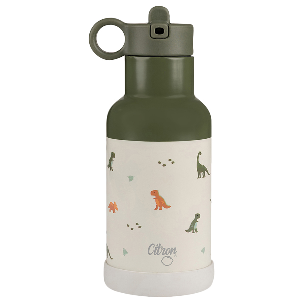 Order Citron - SS Water Bottle - 350ml - Green Now! | Jomla.ae