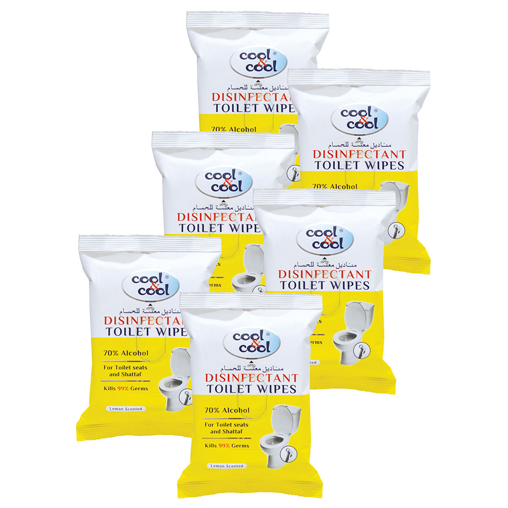 Cool & Cool - Disinfectant Toilet Wipes 20's Pack of 6 | Jomla.ae