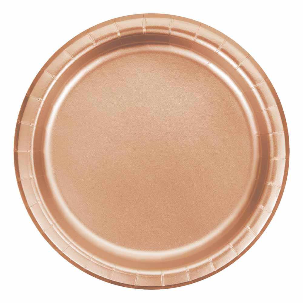 Creative Converting - Dinner Plates 8.75 Inch Pack of 8 Rose Gold ...