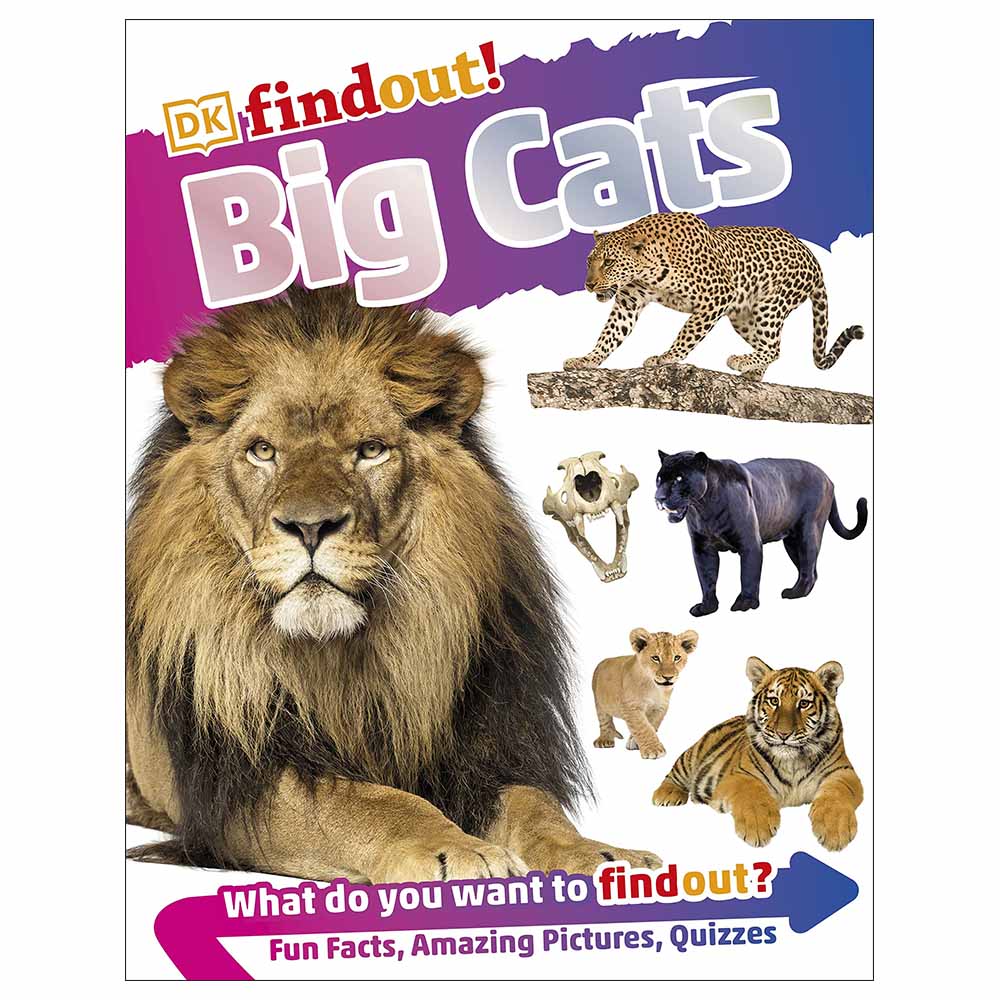 Order DK Findout!: Big Cats - Book Now! | Jomla.ae
