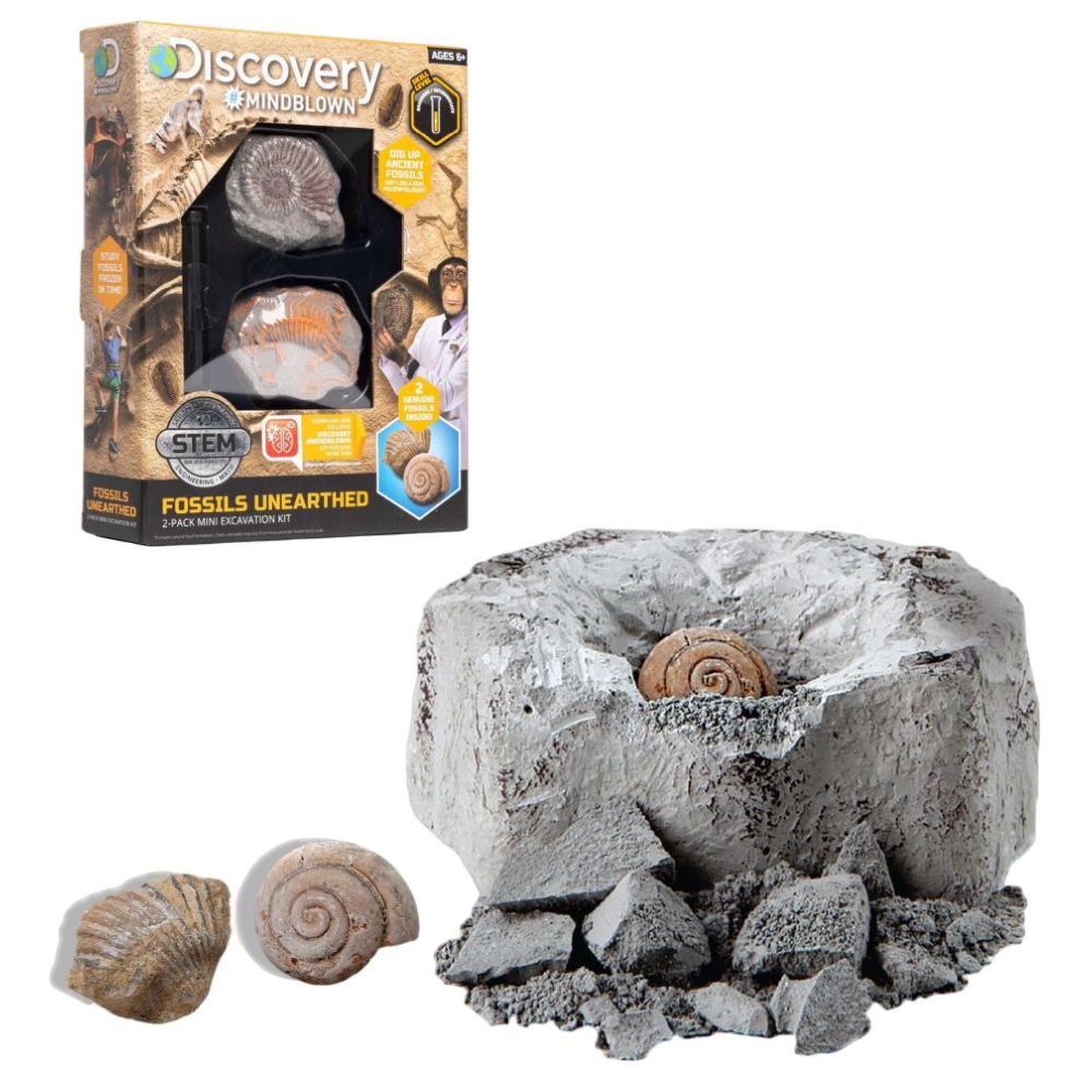Order Discovery Mindblown - Mini Fossil Excavation Kit 2pcs Now! | Jomla.ae