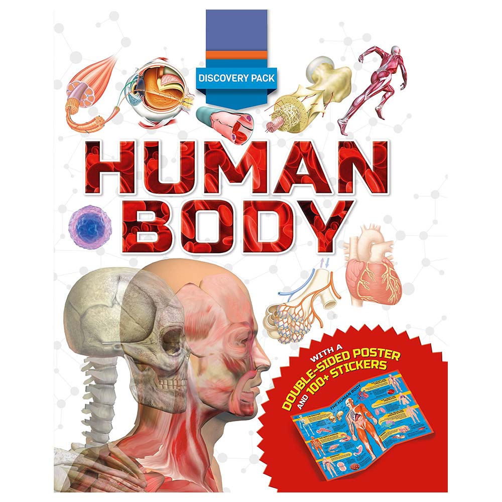 Order Discovery Pack: Human Body Now! | Jomla.ae