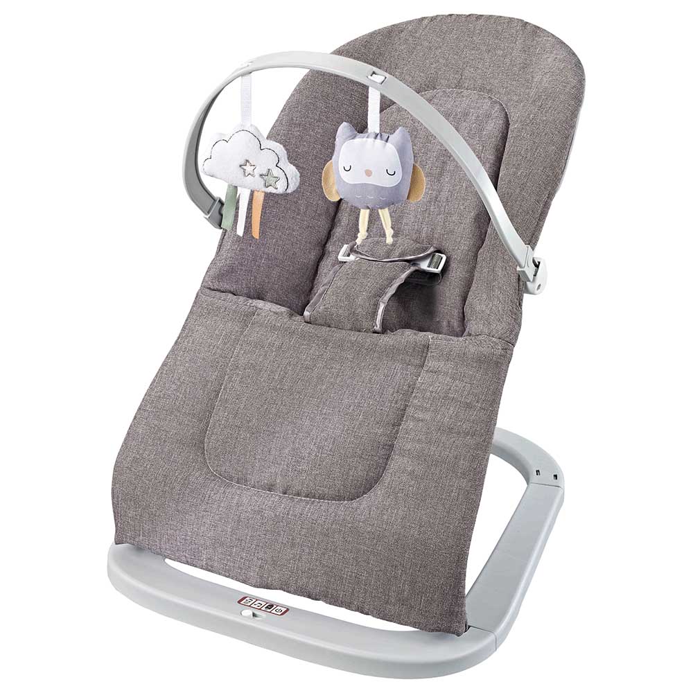 Order Fitch Baby - Rocker & Bouncing Chair - Grey Now! | Jomla.ae