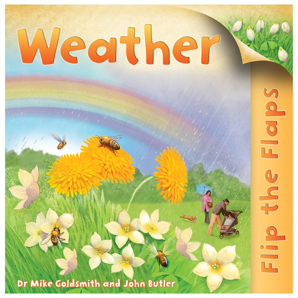 Order Flip The Flaps: Weather - Book Now! | Jomla.ae