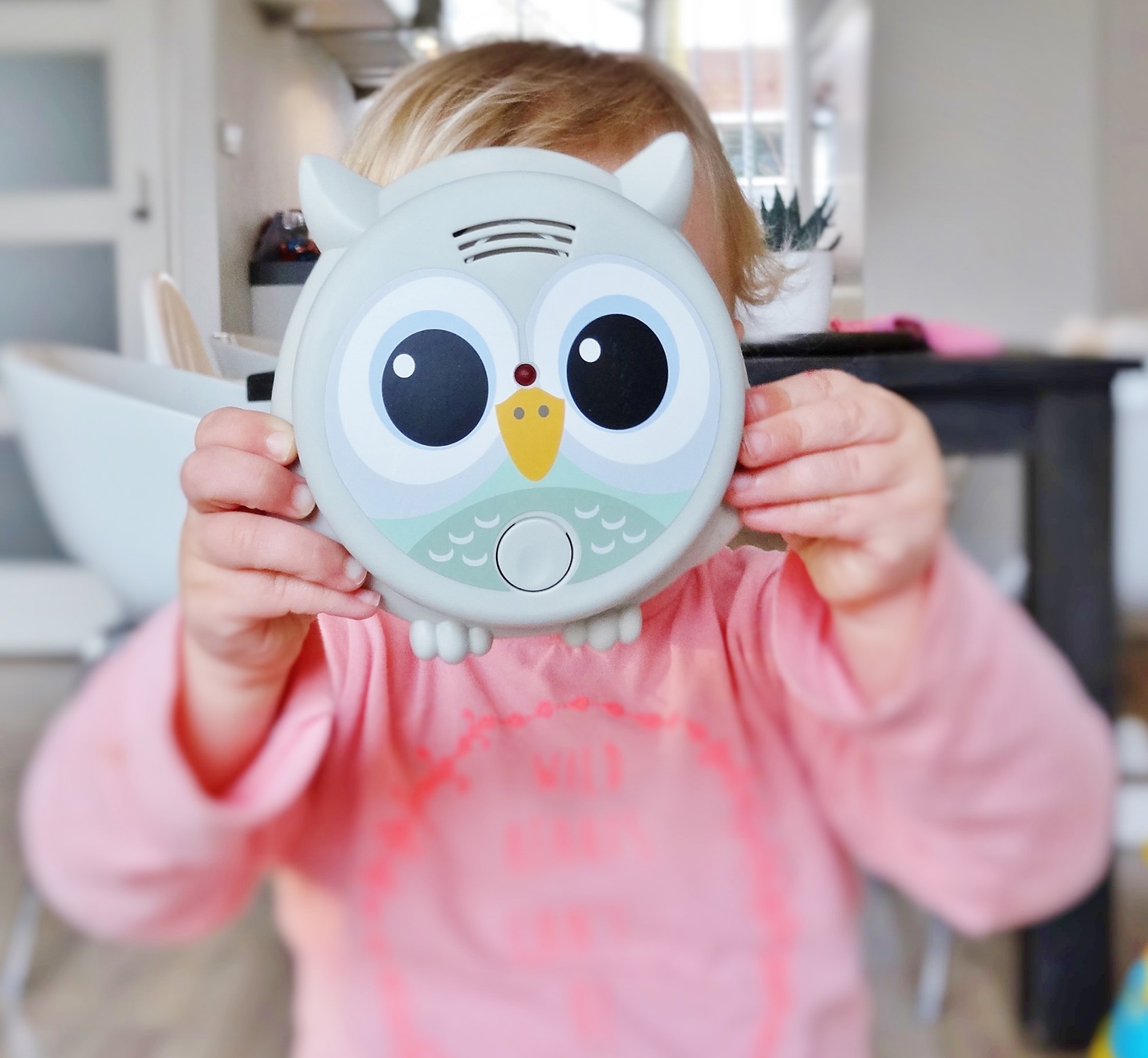 Order Flow - Mister Owl Now! | Jomla.ae