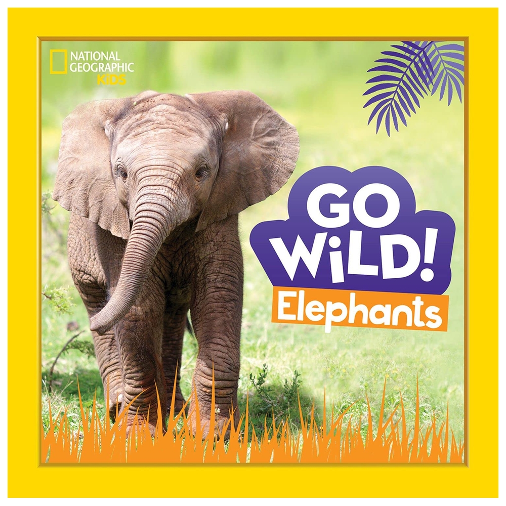 Order Go Wild! Elephants - Book Now! | Jomla.ae