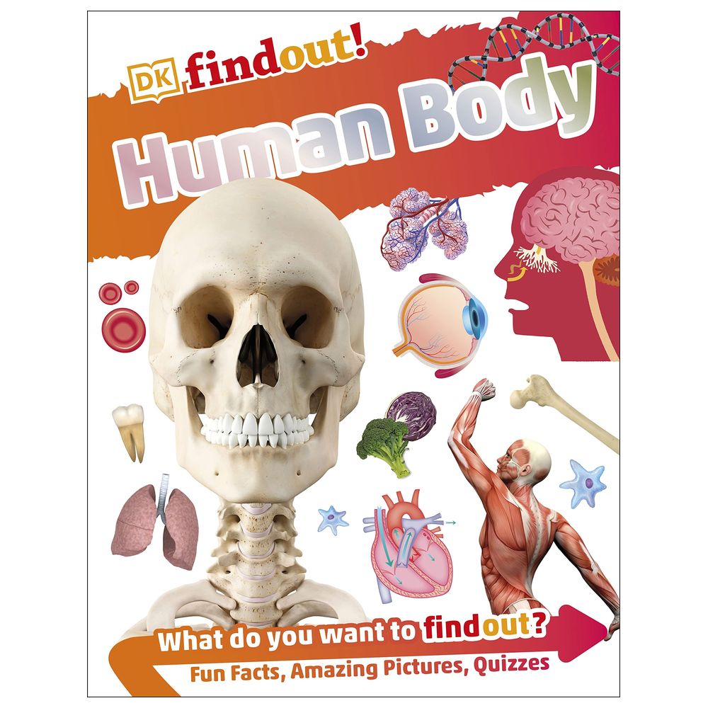 Order Human Body - Book Now! | Jomla.ae