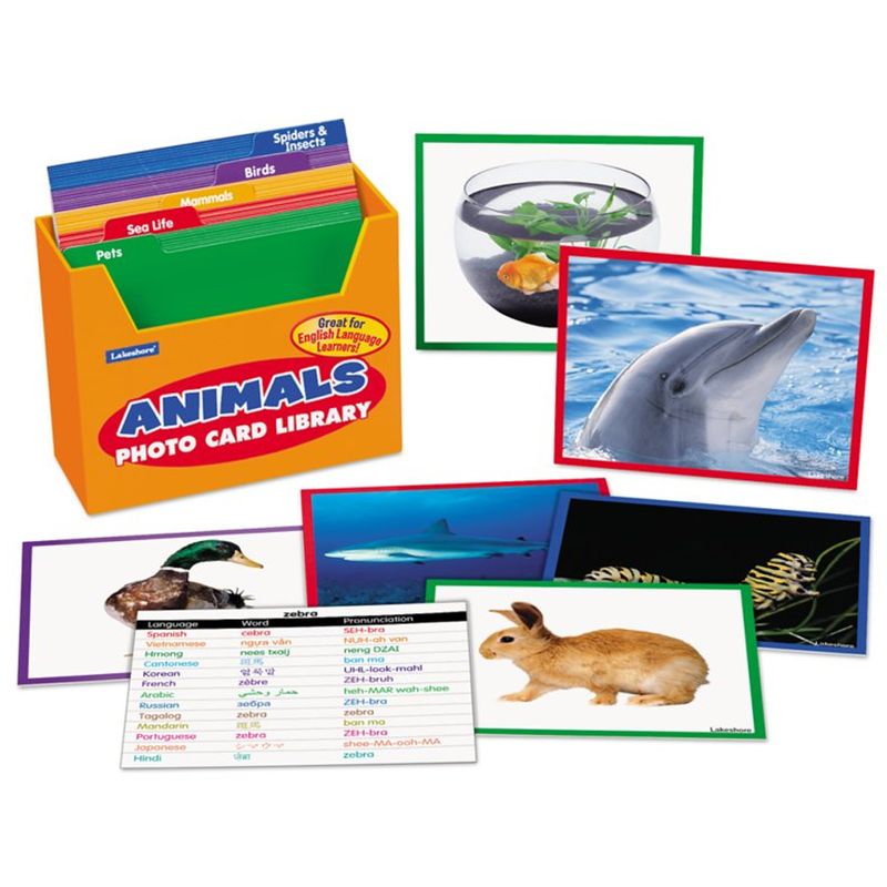 Order Lakeshore - All About Animals Photo Library Now! | Jomla.ae