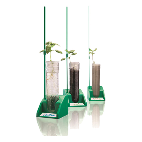 Order Learning Resources - Hydroponic Test Tubes Now! | Jomla.ae