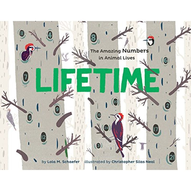 Order Lifetime: The Amazing Numbers In Animal Lives Now! | Jomla.ae