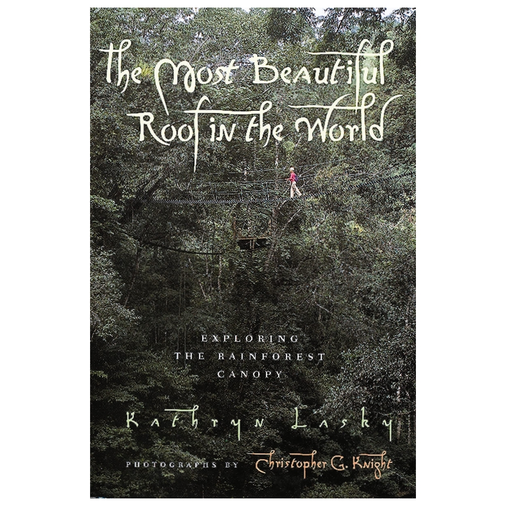 Order Most Beautiful Roof In The World - Book Now! | Jomla.ae