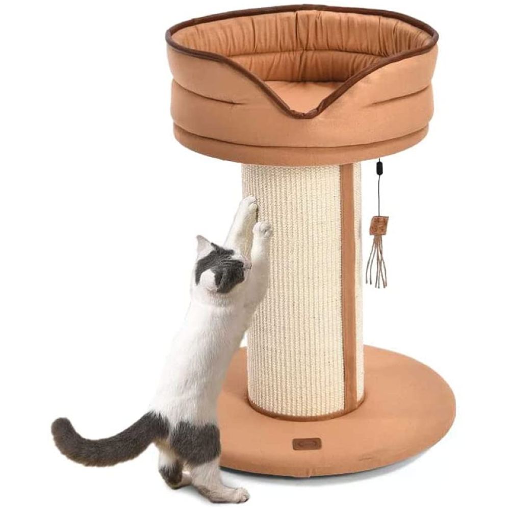 Order Nutra Pet - Sassy Cat Scratchers Now! | Jomla.ae