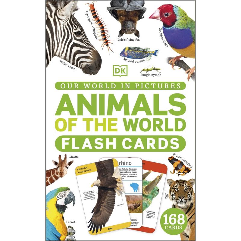 Our World In Pictures Animals Of The World Flash Cards | Jomla.ae