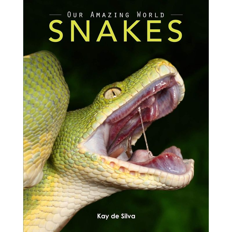 Order Snakes: Amazing Pictures & Fun Facts On Animals In Nature - Book ...
