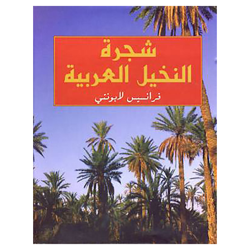 Order The Arabian Date Palm Now! | Jomla.ae