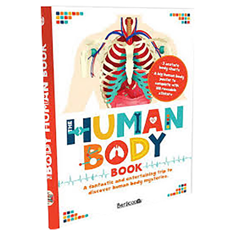 Order The Human Body Book Now! | Jomla.ae