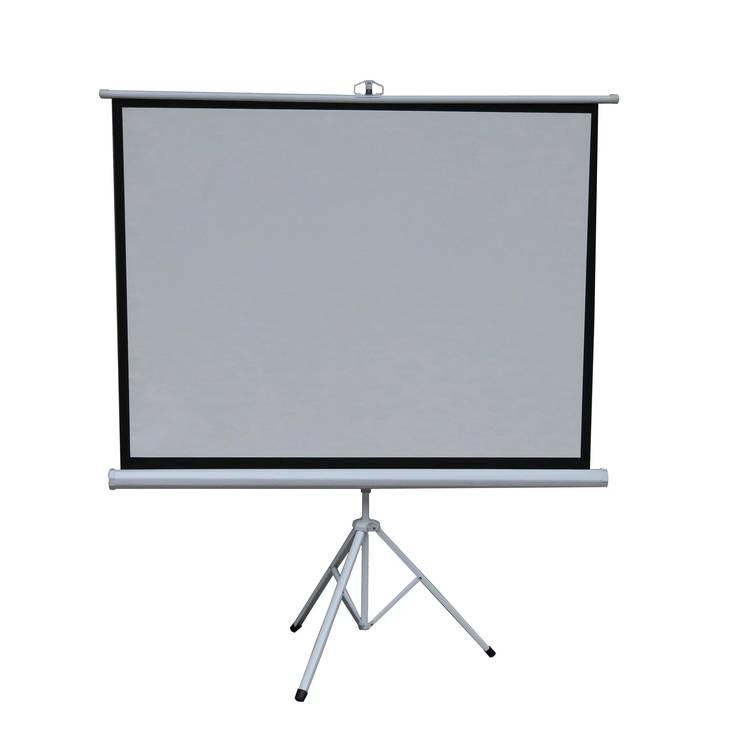 Order Green Lion 120" Portable Projection Screen With Tripod Stand ...